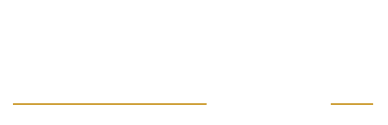 Bulso PLC – Commercial & Appellate Litigation